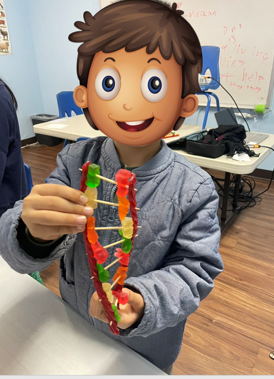 Biology Programs – BioLife Valley Education Group